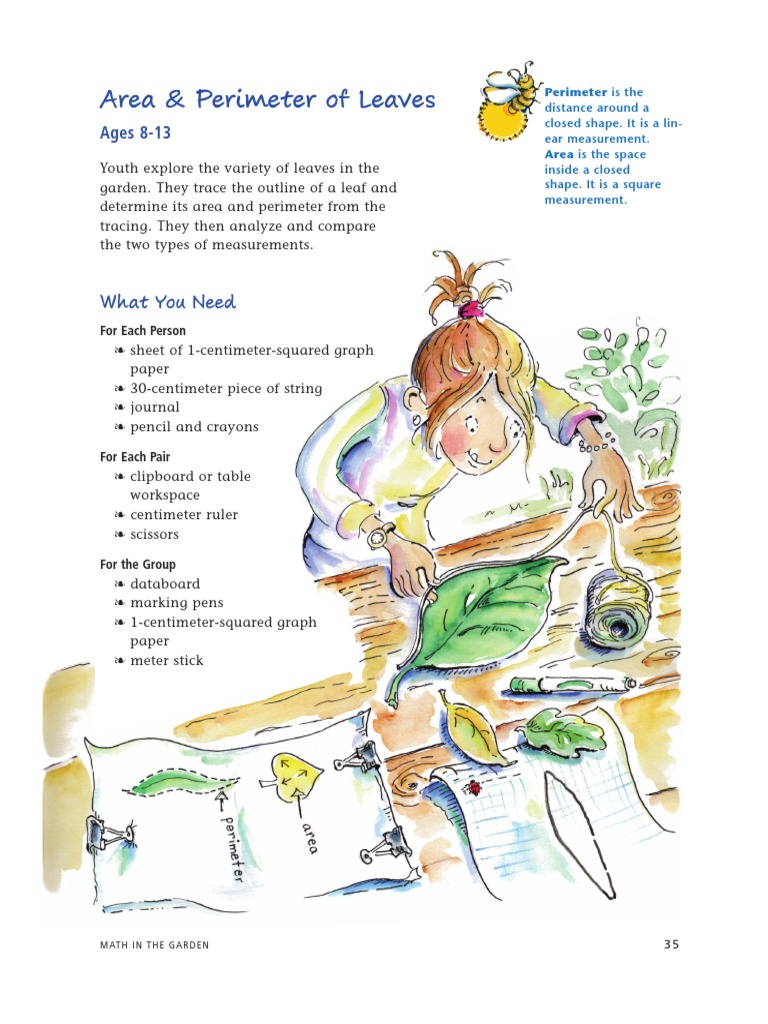 Area and Perimeter of Leaves Activity | PDF | Area | Leaf