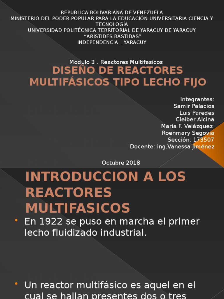 Diseño de Reactores Multifásicos Tipo Lecho Fijo | PDF | Catálisis | Reactor Quimico