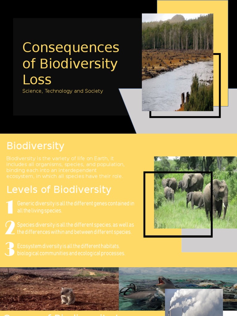 Consequences of Biodiversity Loss | PDF