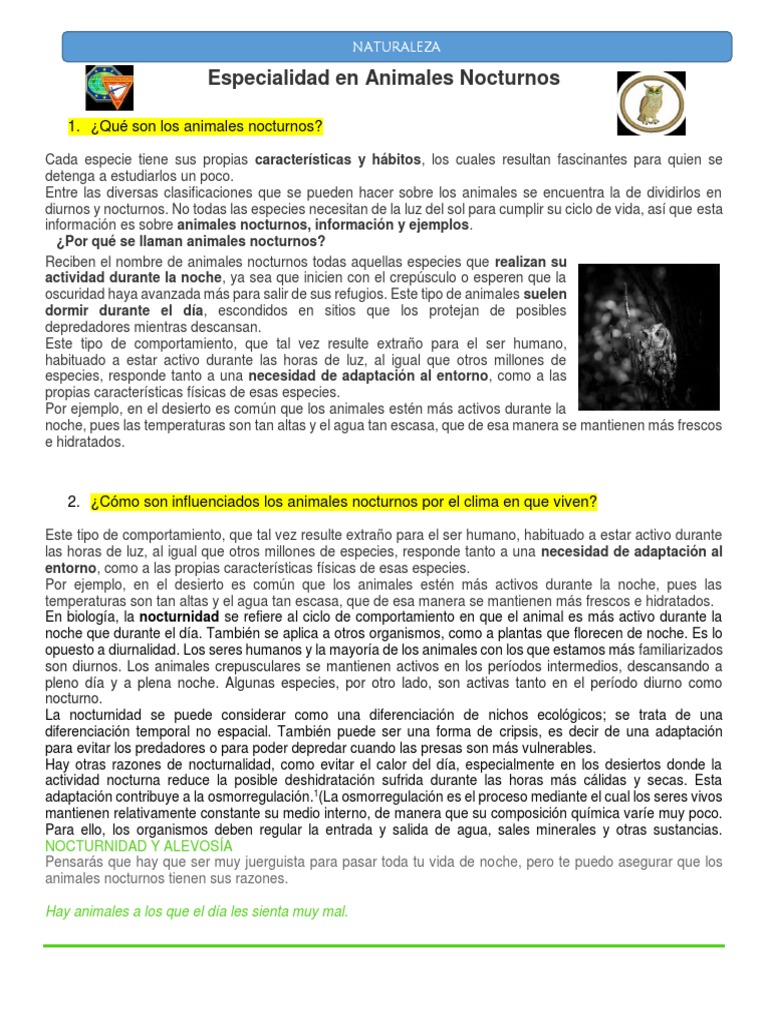 Animales Nocturnos - Club PDF | PDF | Organismos | Science