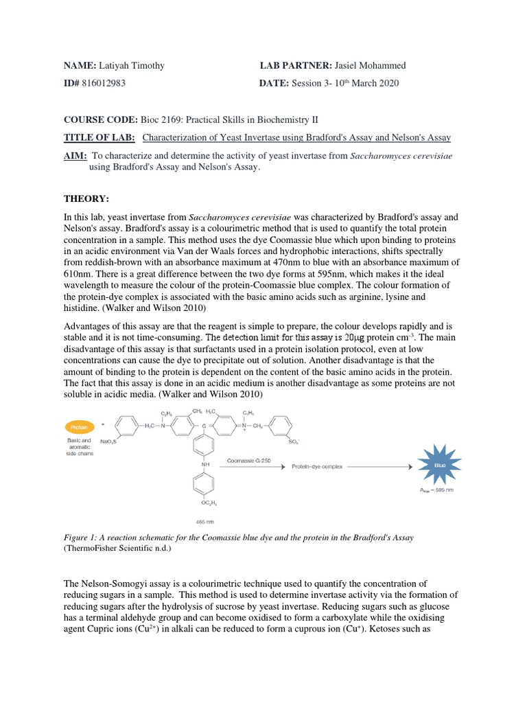 Invertase Session 3 | PDF | Enzyme Assay | Protein Purification