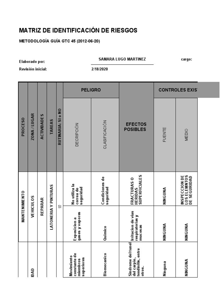 Matriz de Identificación de Riesgos | PDF | Ciencias fisicas | Naturaleza