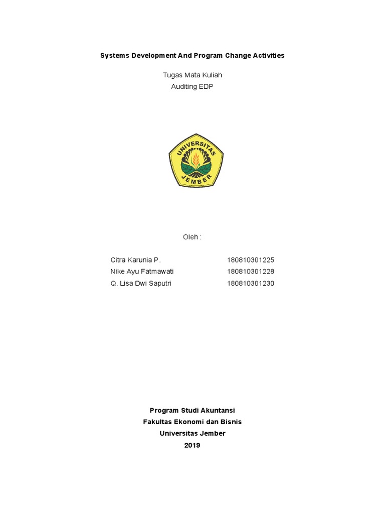 BAB 5 Systems Development and Program Change Activities | PDF