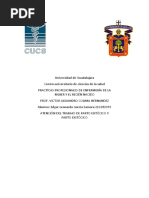 Formula Obstetrica | PDF | Bienestar