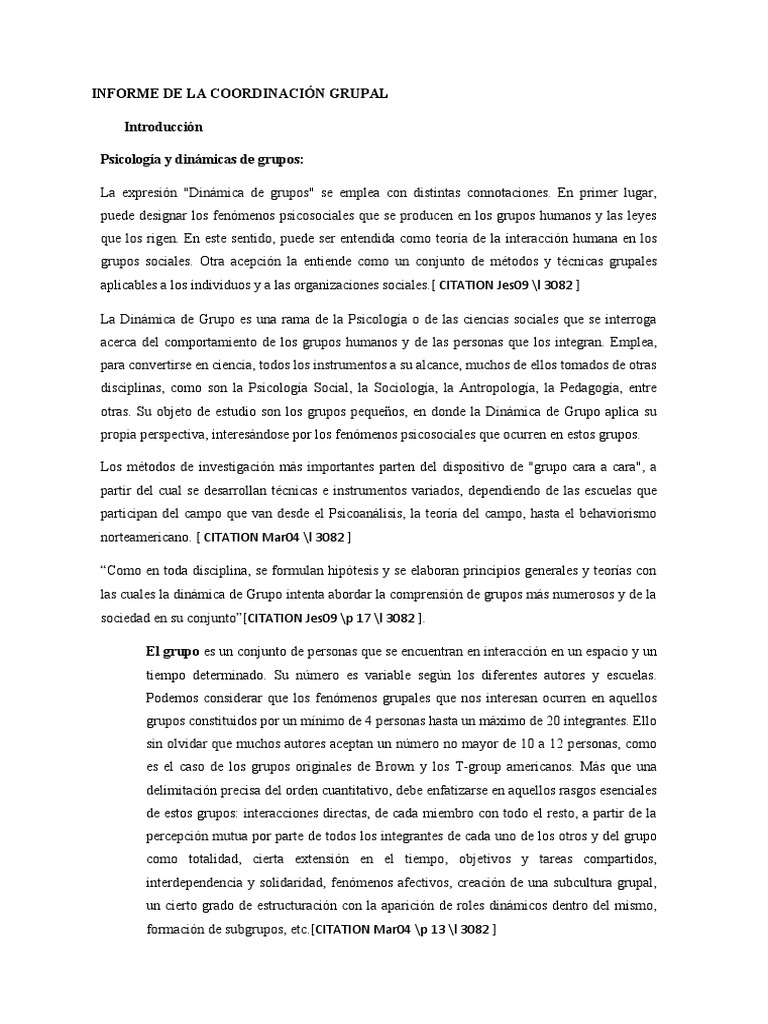 Informe de La Sesión de Trabajo Grupal | Descargar gratis PDF | Teoría ...