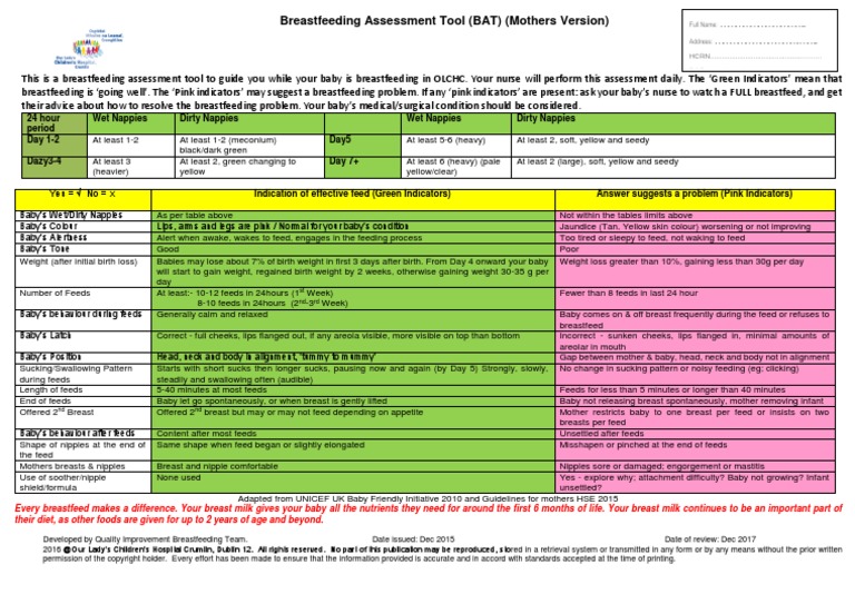 Breastfeeding Assessment Tool-BAT (Mothers Version) | PDF | Nipple ...
