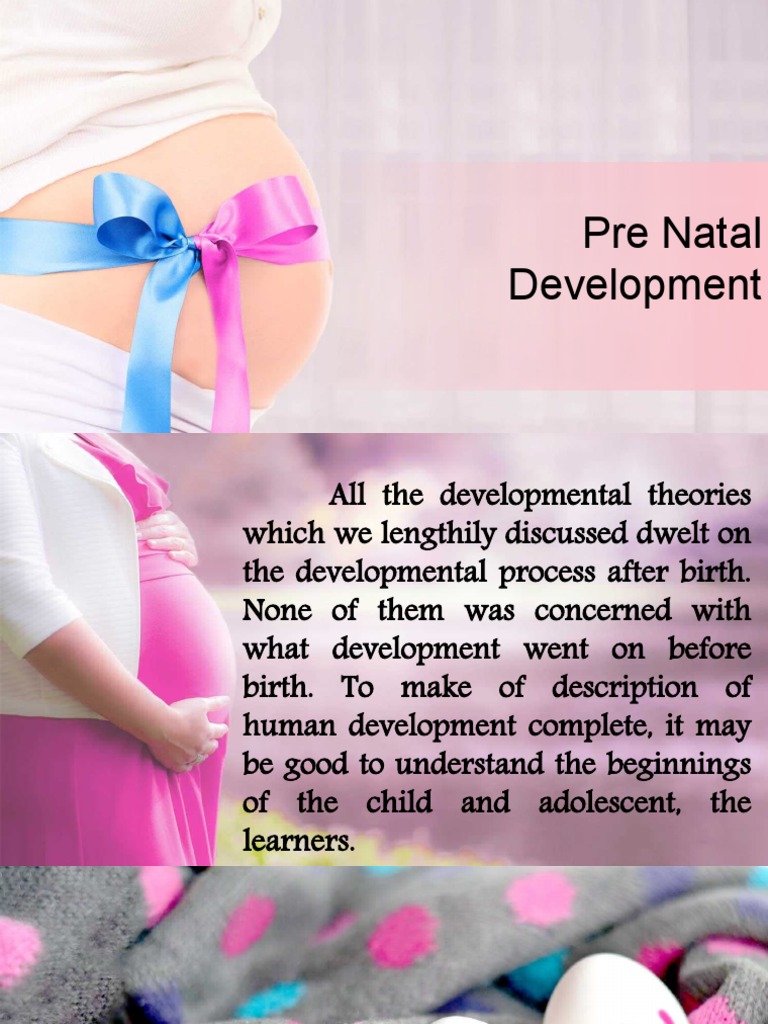 Prenatal Development | PDF | Prenatal Development | Fetus
