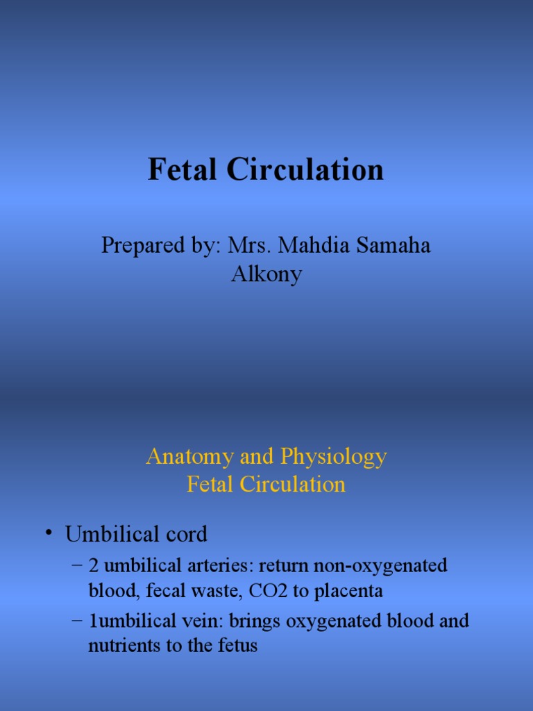 Human Fetal Circulation For Nursing | PDF | Fetus | Circulatory System