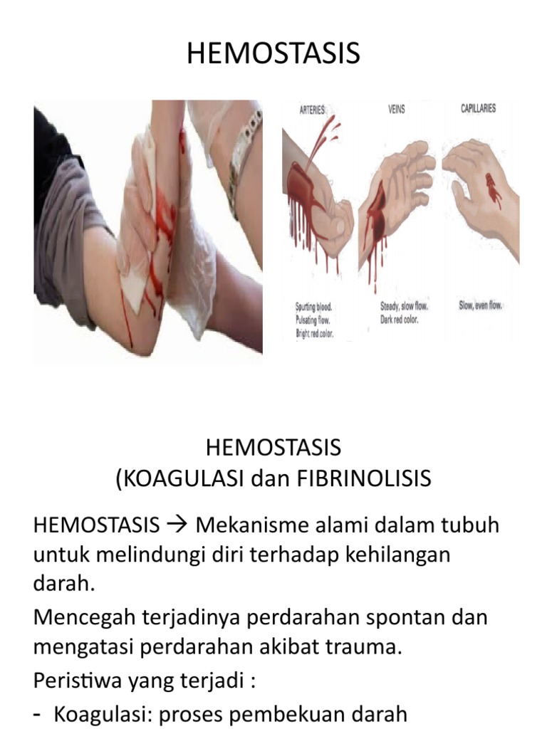 HEMOSTASIS | PDF
