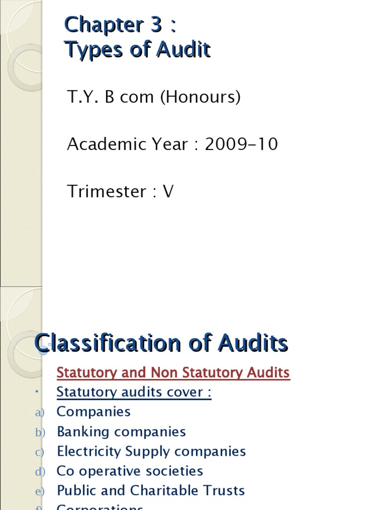 CH 3 - Types of Audit | PDF | Internal Audit | Internal Control