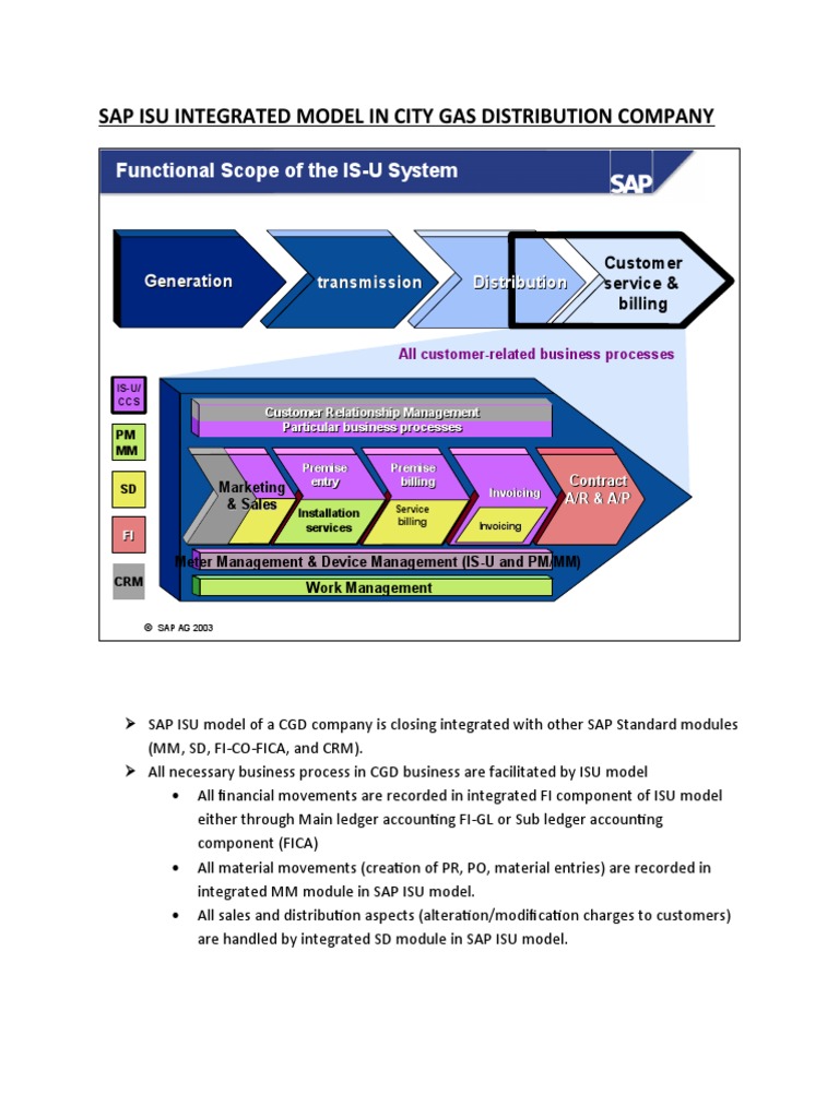 Sap Isu Model | PDF | Sap Se | Customer Relationship Management