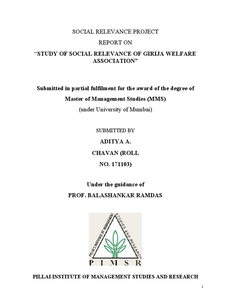 FINAL SOCIAL PROJECT REPORT - Adi | PDF | Non Governmental Organization ...
