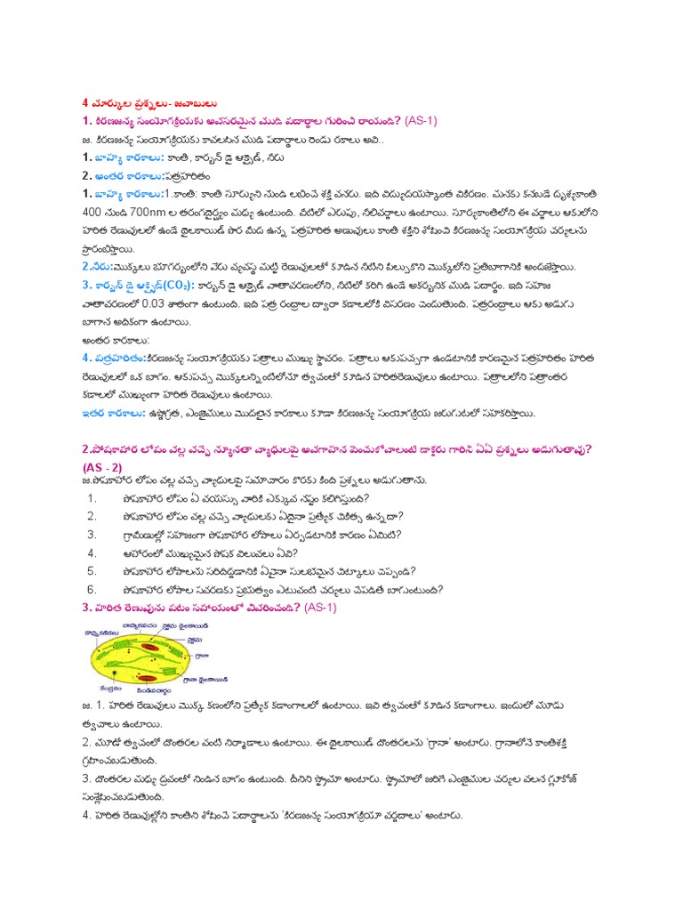 Play With Graphs | PDF