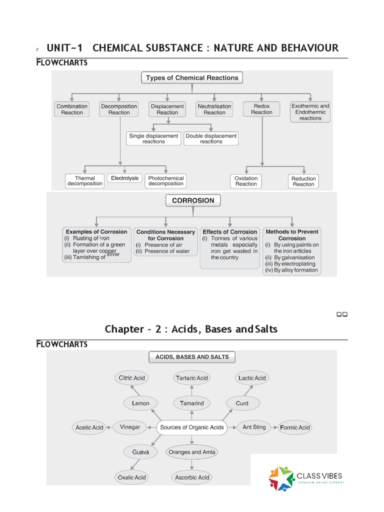 10-Science Flowcharts | PDF | Eye | Digestion
