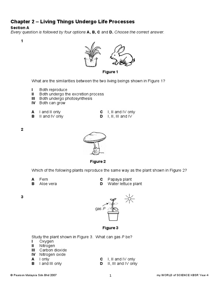 Science Year 4 Chapter 2 | PDF | Gill | Respiratory System