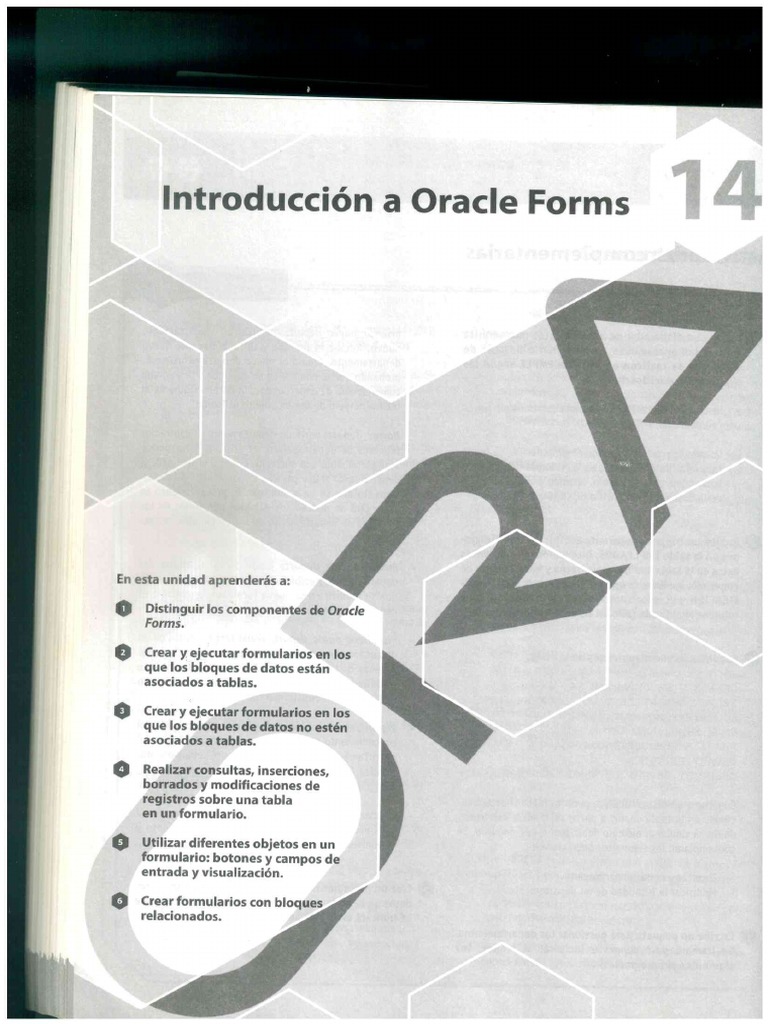 Libro Oracle Forms | PDF