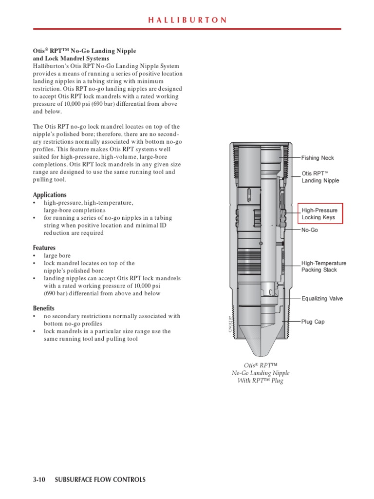 RPT Plug PDF | PDF | Energy Technology | Hydraulics