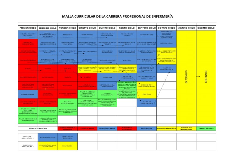 Malla Curricular de Enfermería | PDF