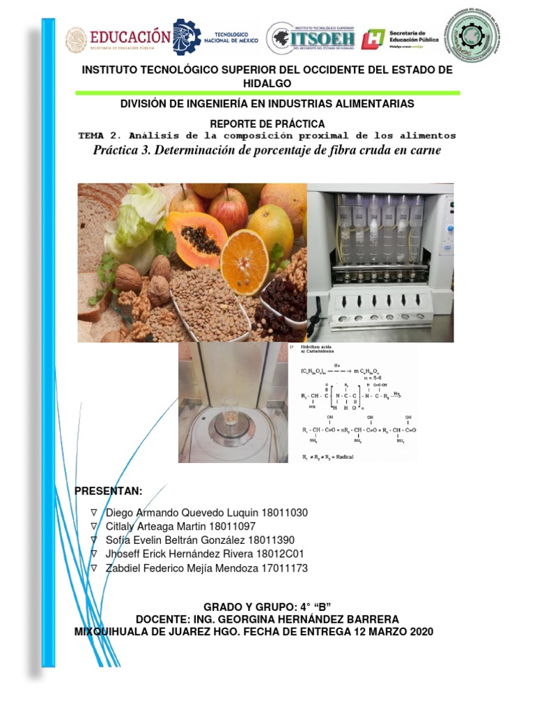 Fibra Cruda Completa | PDF | Fibra dietética | Dieta y nutrición