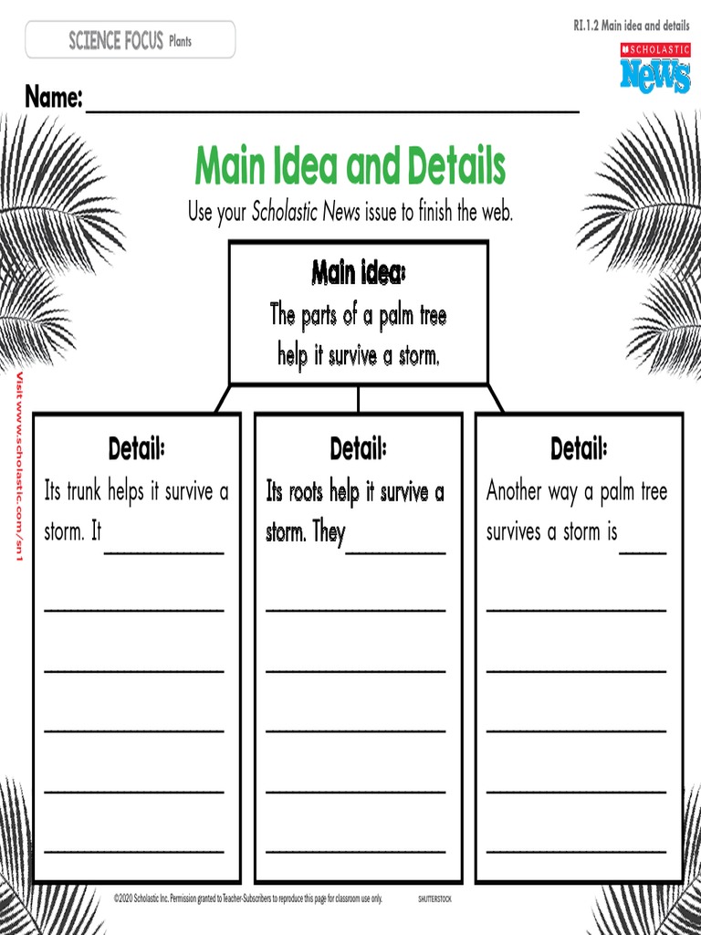 Palm Tree Main Idea and Details | PDF | Plants | Trees