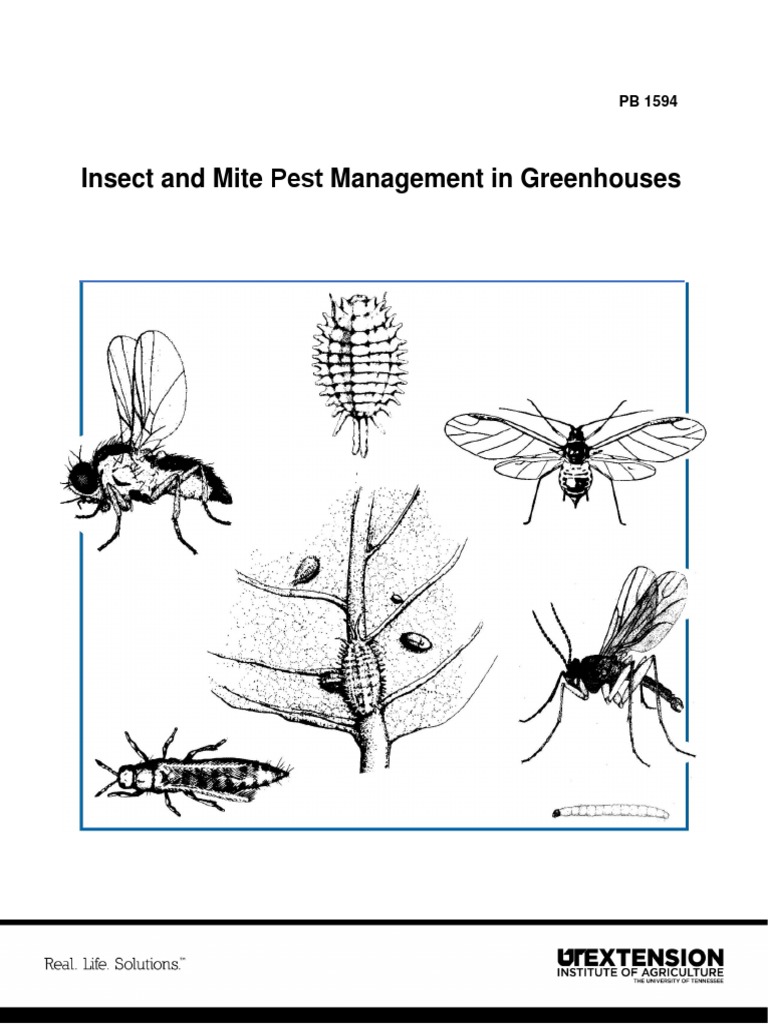 Greenhouse Insect and Mite Management | PDF | Biological Pest Control ...
