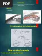 Anatomía y Patología de La Papila Óptica | PDF | Retina | Ojo humano