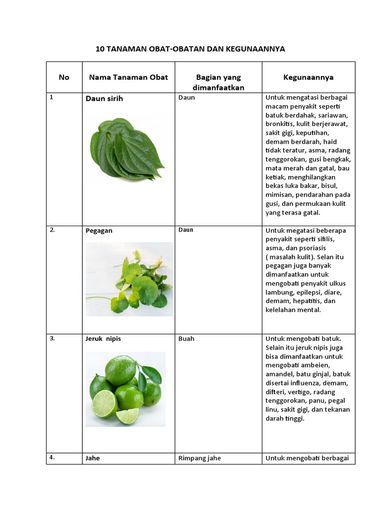 Obat Herbal Dan Kegunaannya | PDF