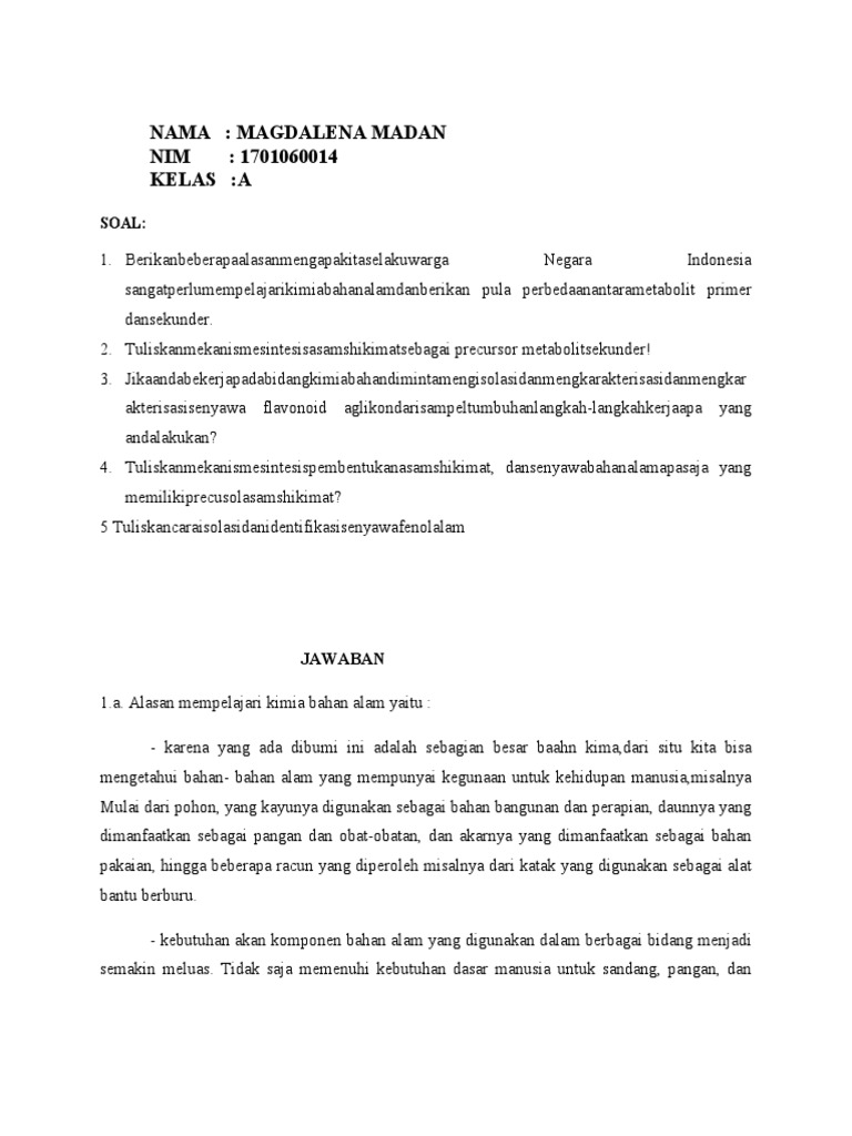 Magdalena Madan PDF | PDF