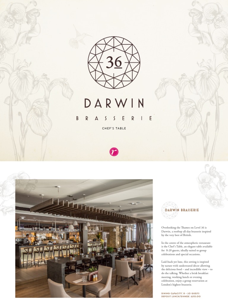 Darwin Lunch and Dinner Brochure | PDF | Menu | Restaurants