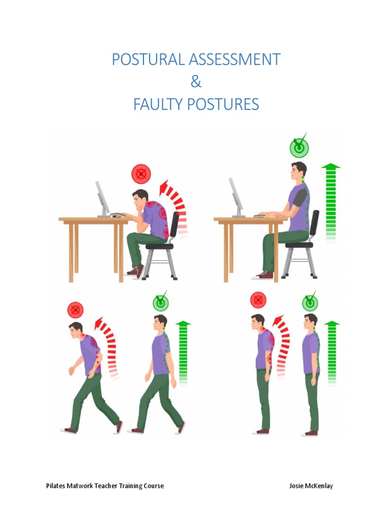Postural Assessment | PDF | Pelvis | Musculoskeletal System