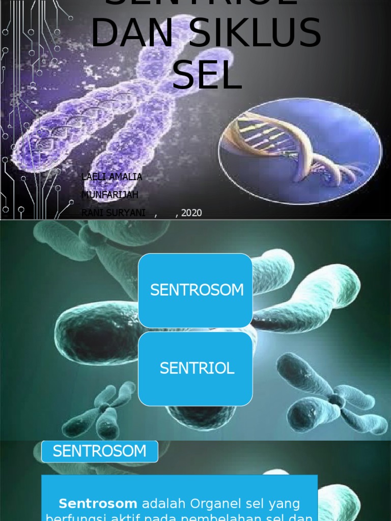 Sentrosom, Sentriol | PDF