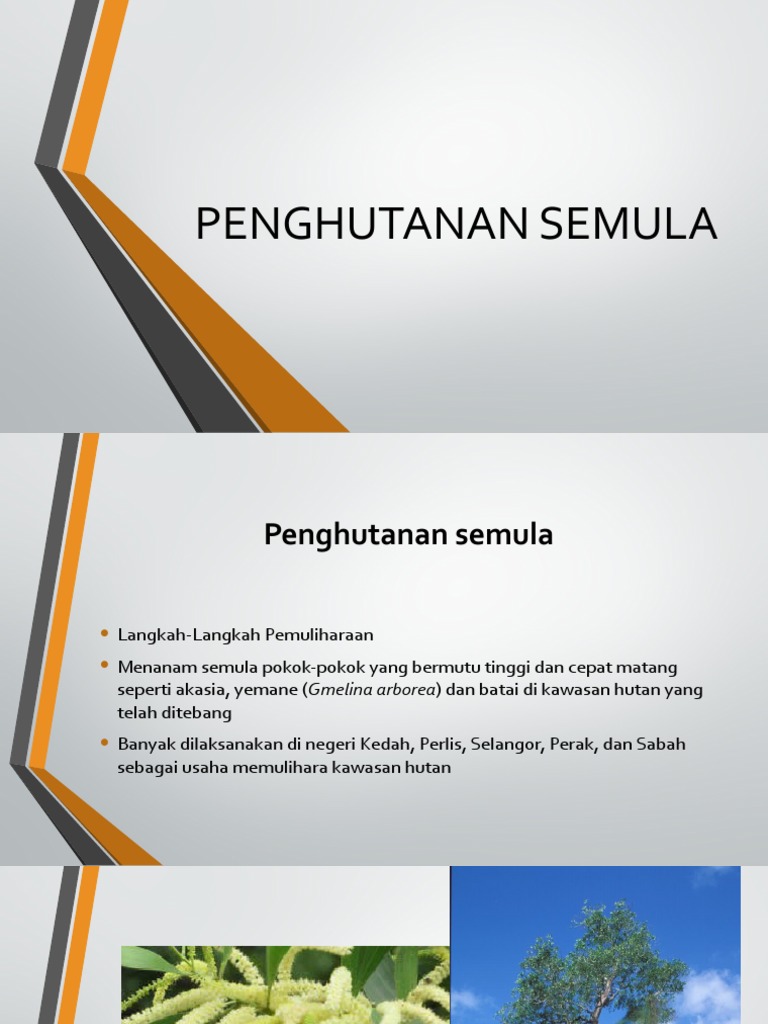Kump 2 Penghutanan Semula | PDF