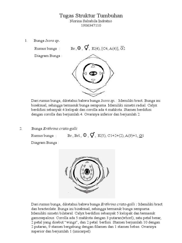 Diagram Dan Rumus Bunga | PDF