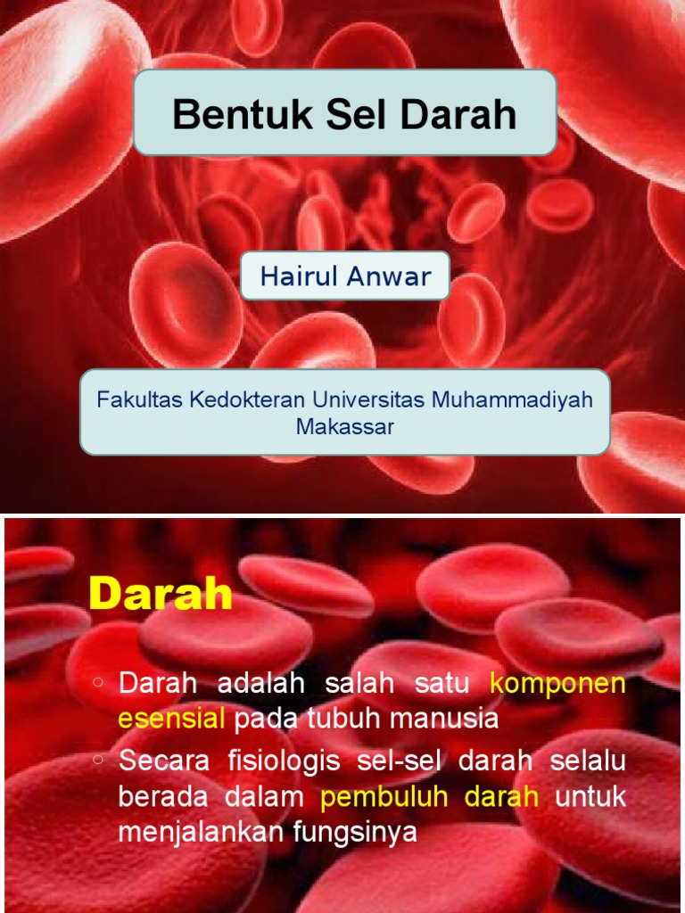 Bentuk Sel Darah | PDF