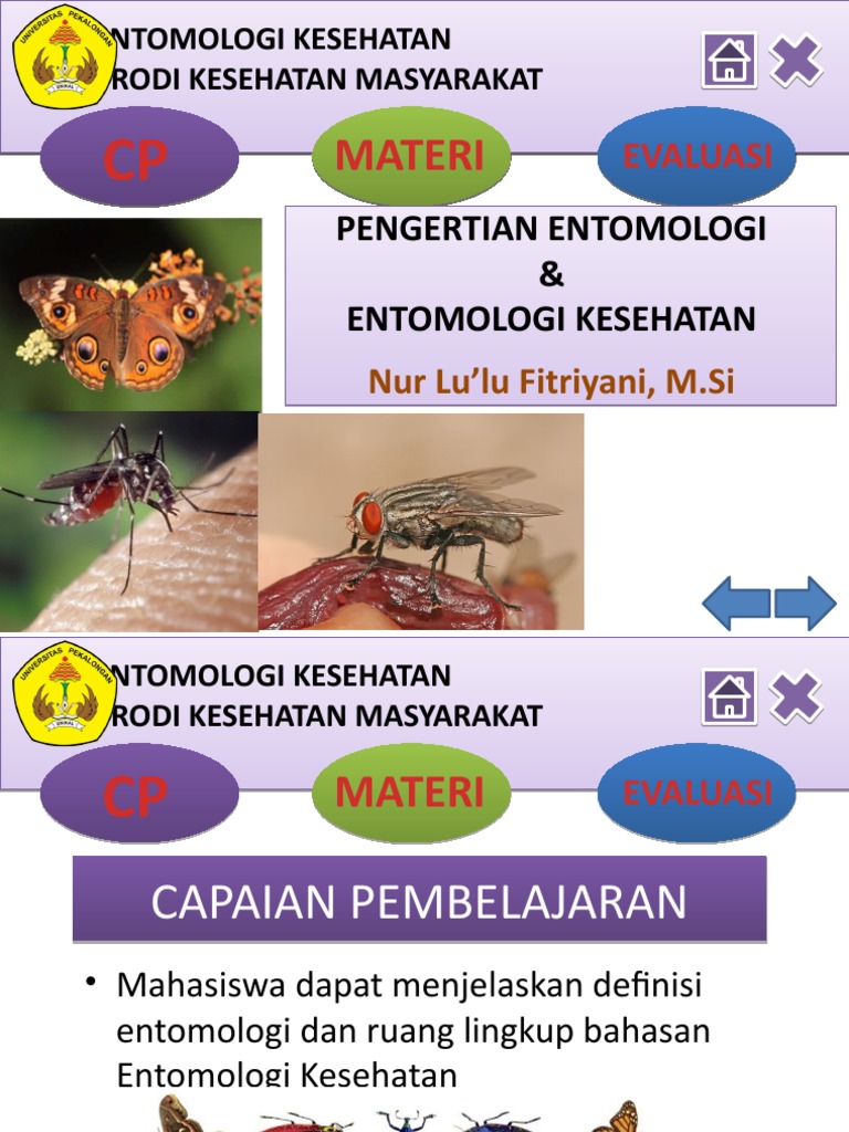 Pengertian Entomologi | PDF