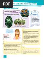 Plant Structure and Functions Guide | PDF | Plants | Leaf