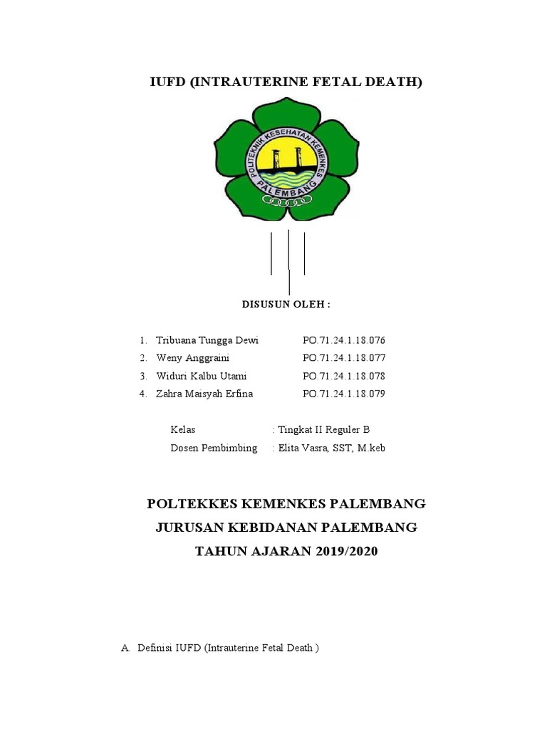 Makalah IUFD | PDF | Kesehatan Holistik