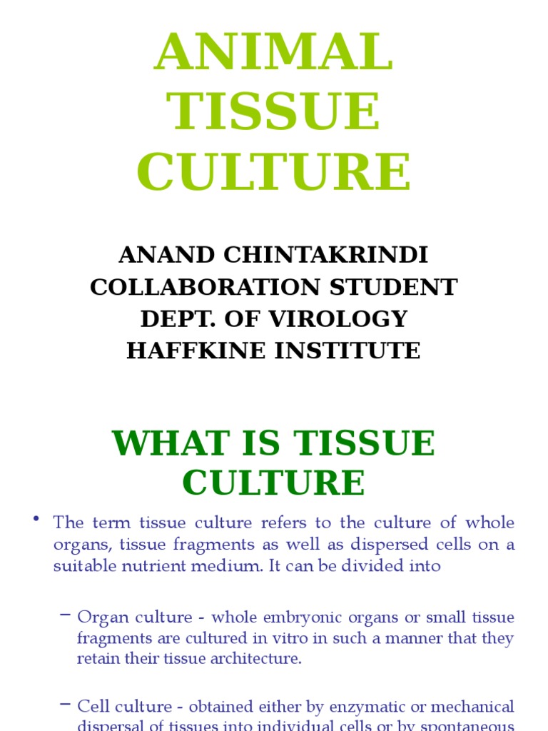 Animal Tissue Culture | PDF | Cell Culture | Growth Medium