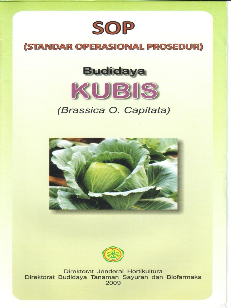 Budidaya Kubis - SOP-1 PDF | PDF