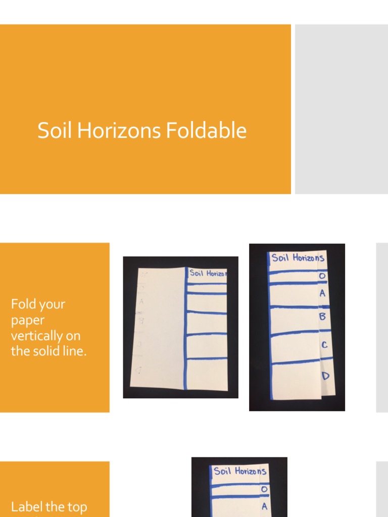 Soil Horizons Foldable | PDF | Organic Matter | Soil