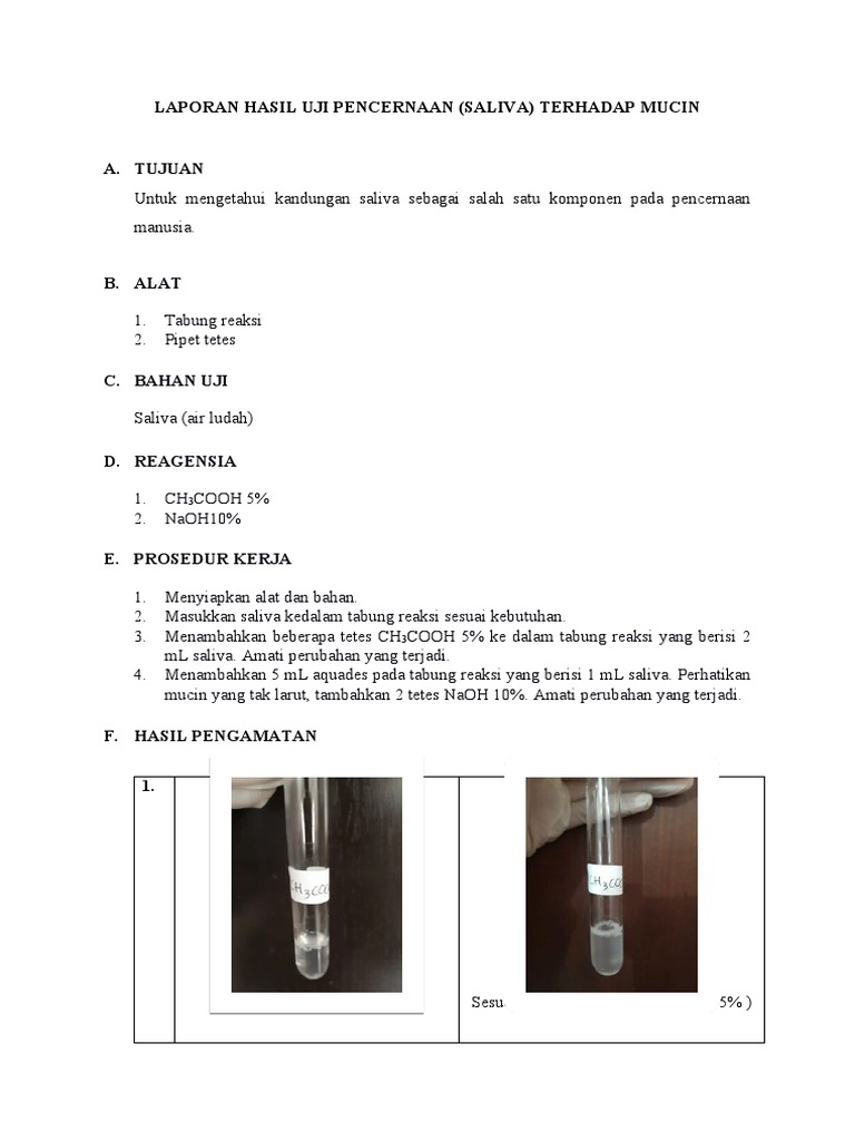 Laporan Mucin | PDF