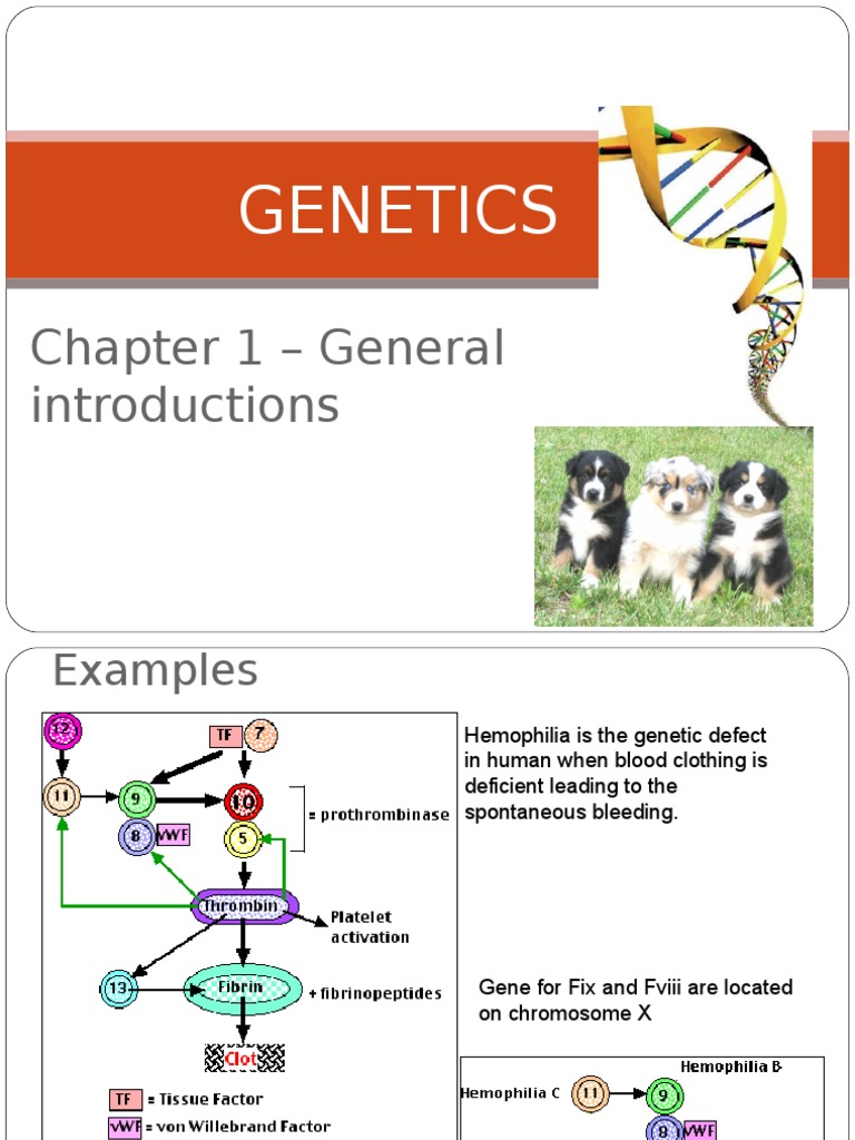 GEN Chap1 INTRODUCTION - Student | PDF | Genetics | Gene