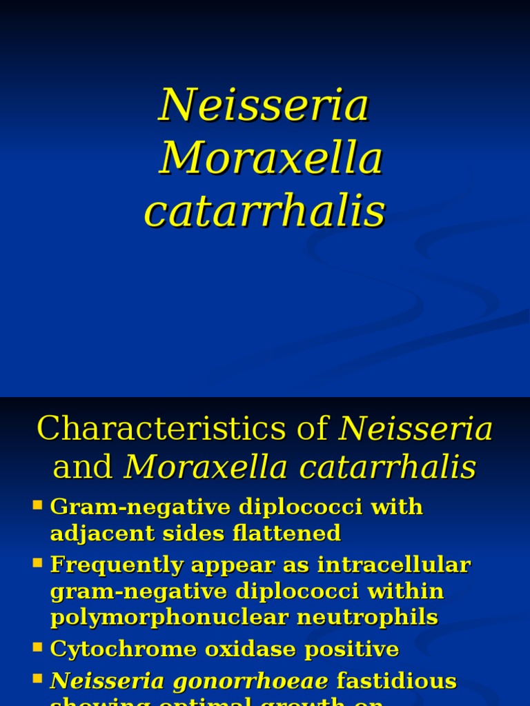 Moraxella Catarrhalis Gram Stain