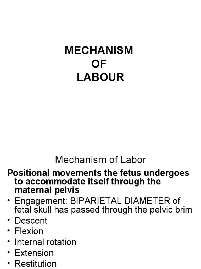 CSKL 1b - Mechanism of Labour | PDF | Pelvis | Childbirth