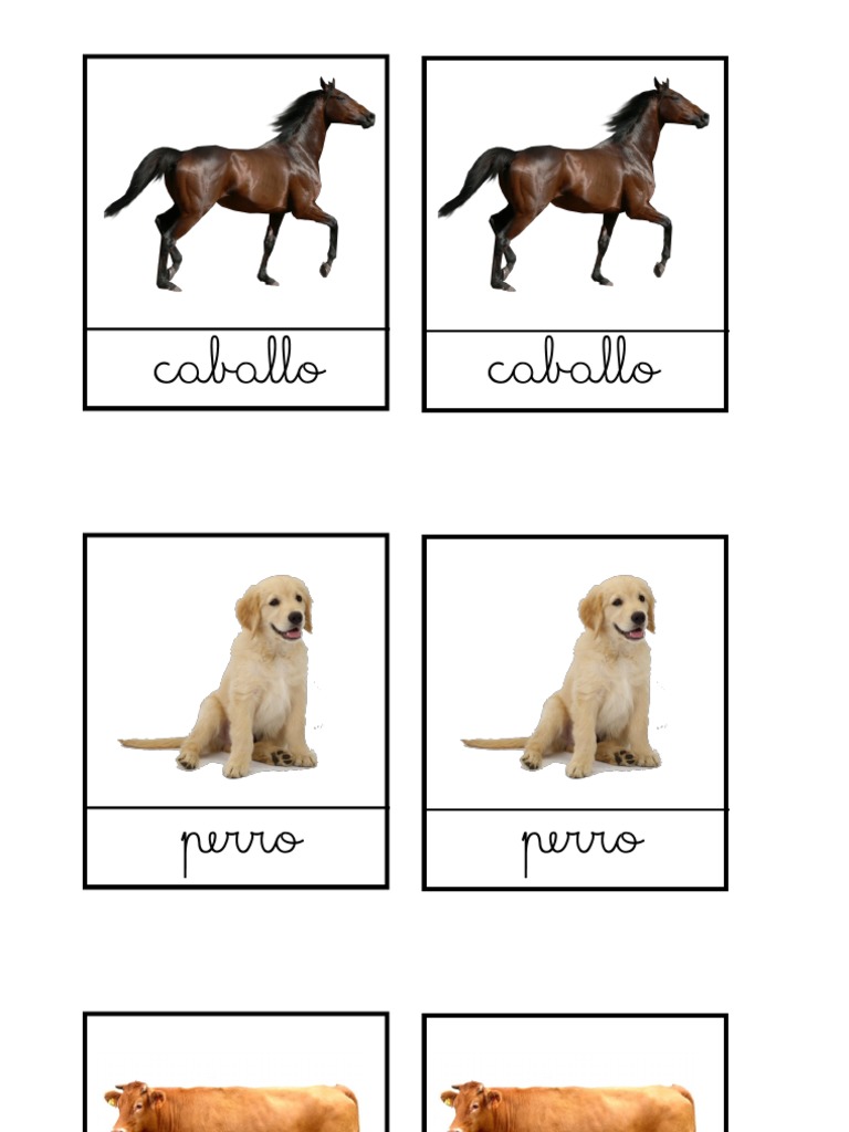 Tarjeta de 3 Partes Montessori. Animales Mamíferos | PDF