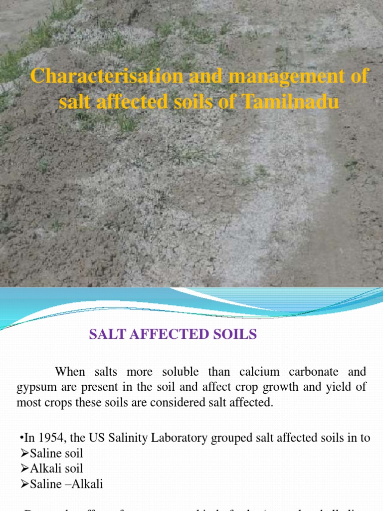 Saline and Alkali Soil | PDF | Soil | Agriculture