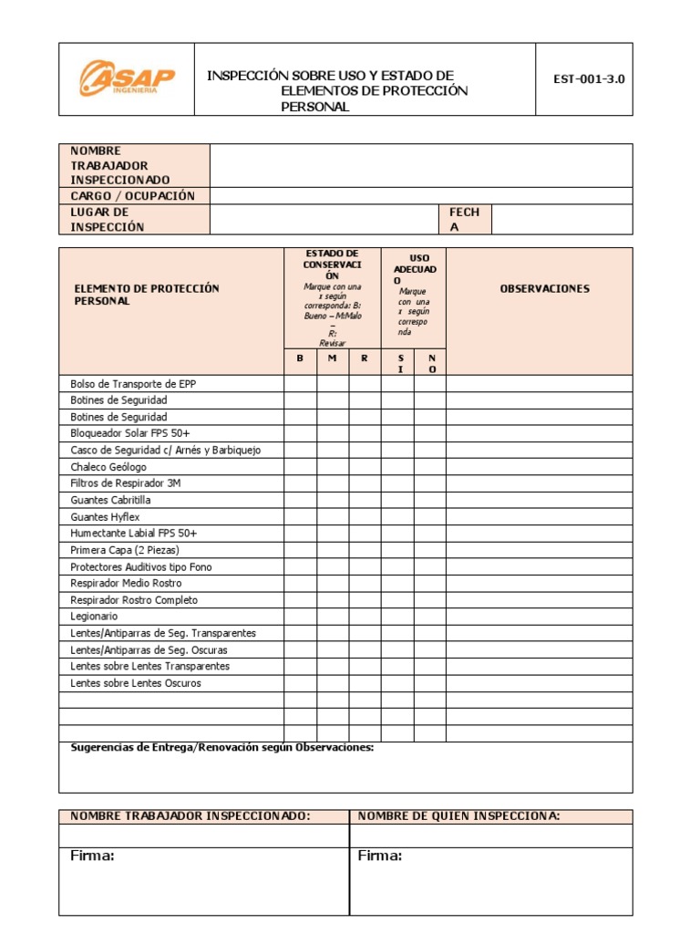 Formato Inspección EPP | PDF