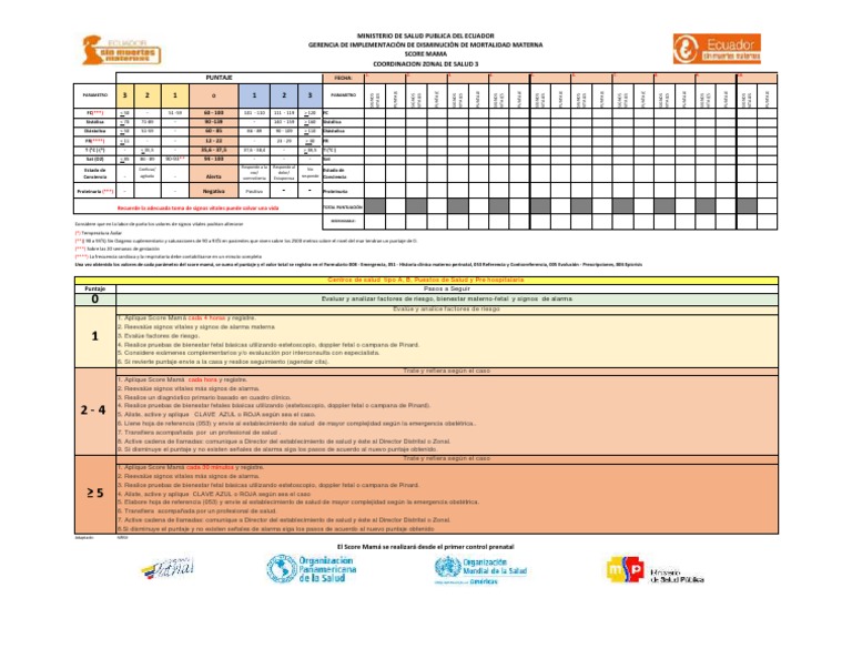 Score - Mama - MSP 2020 | PDF | Especialidades Medicas | Cuidado de la ...