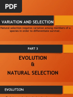 Goldfish Respiration Lab | PDF | Temperature | Breathing