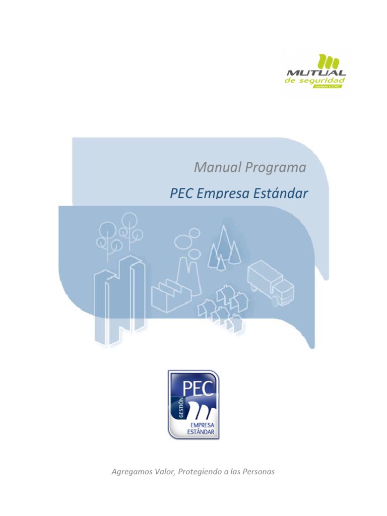 Manual Programa Pec-Empresa Estándar 2019 PDF | PDF | Programa de computadora | Programación